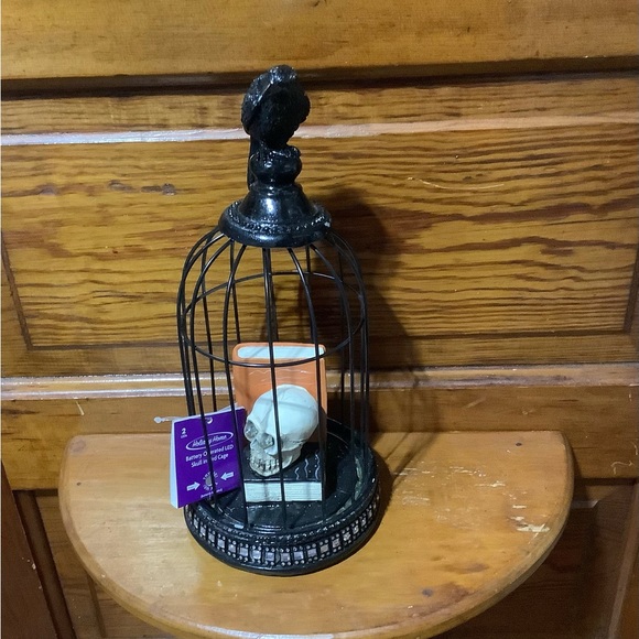 Holiday | New Battery Operated Led Halloween Skull In Bird Cage | Poshmark